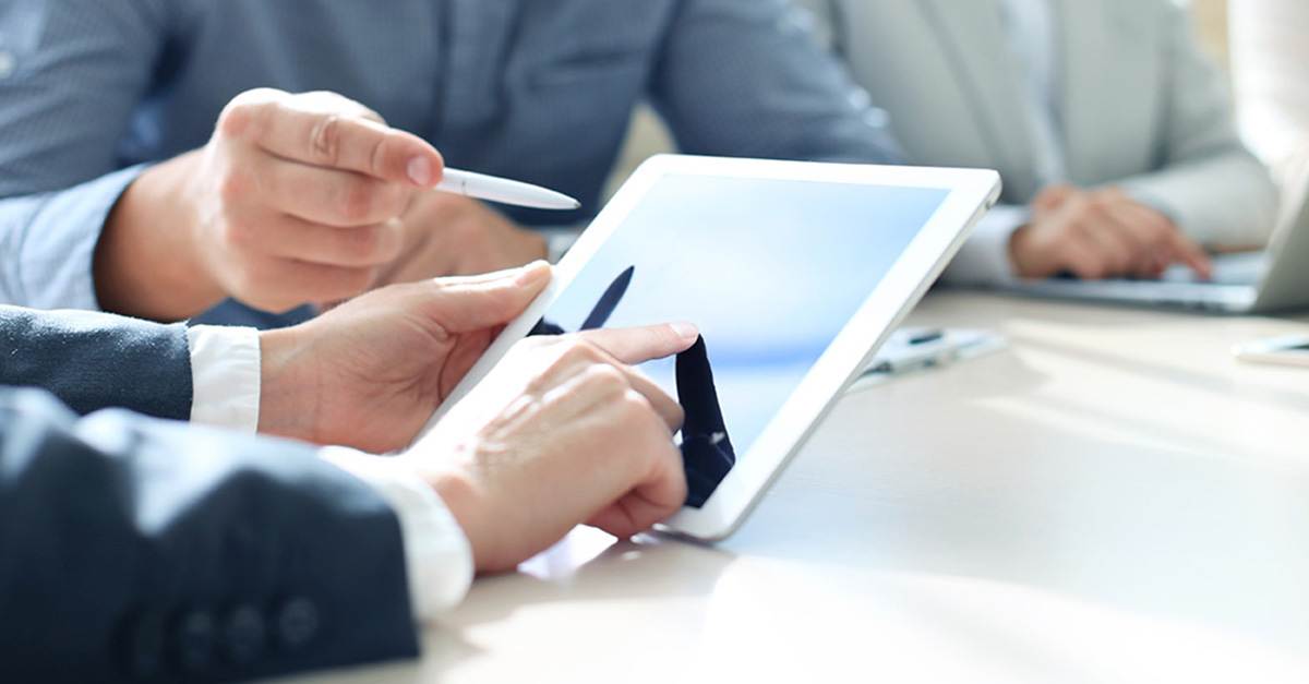 Our Services | Net Zero Consulting